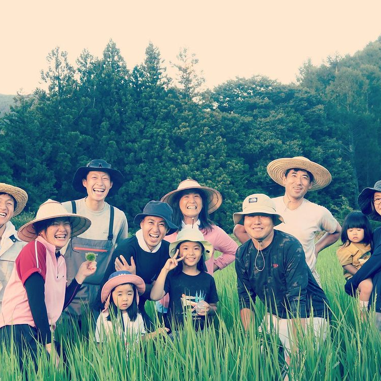 the rice factory Honolulu online store